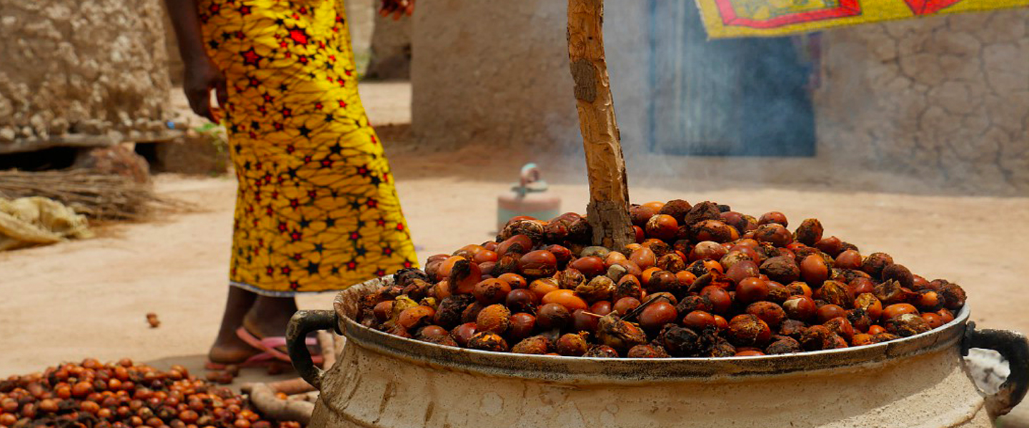 Natural or chemical products| Inside Our Products - L'Oréal