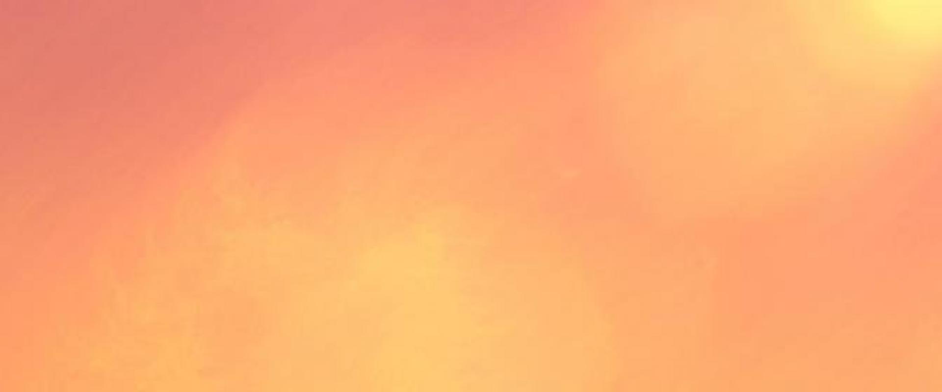 Sun filters - Ingredient | Inside our products - L'Oréal